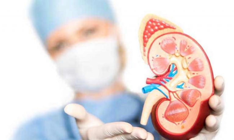 ¿Qué es la pielonefritis y cuáles son los síntomas? – Frontal Noticias