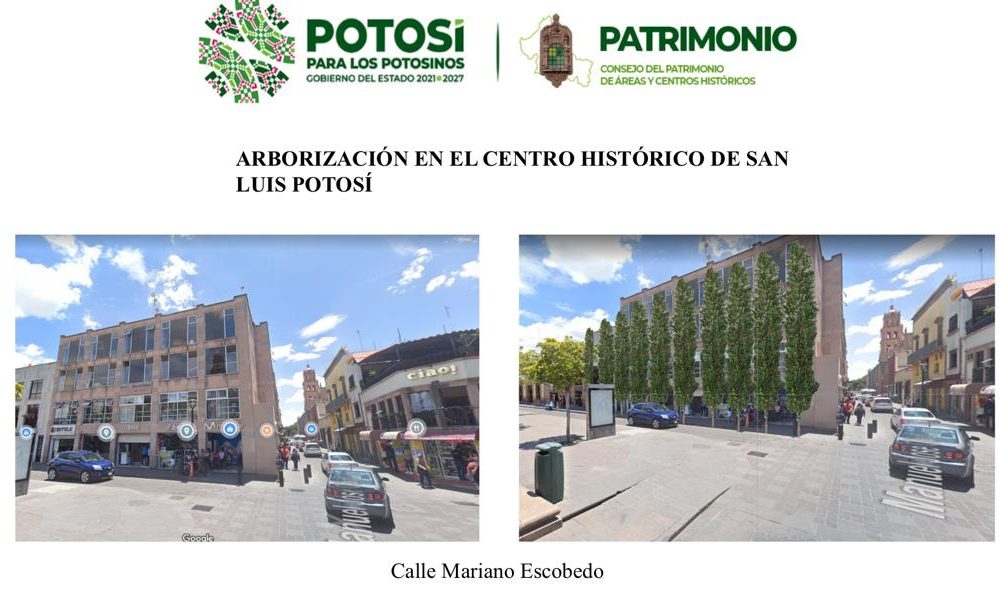 Barreras verdes ayudan al plan de conservación del Centro Histórico ...