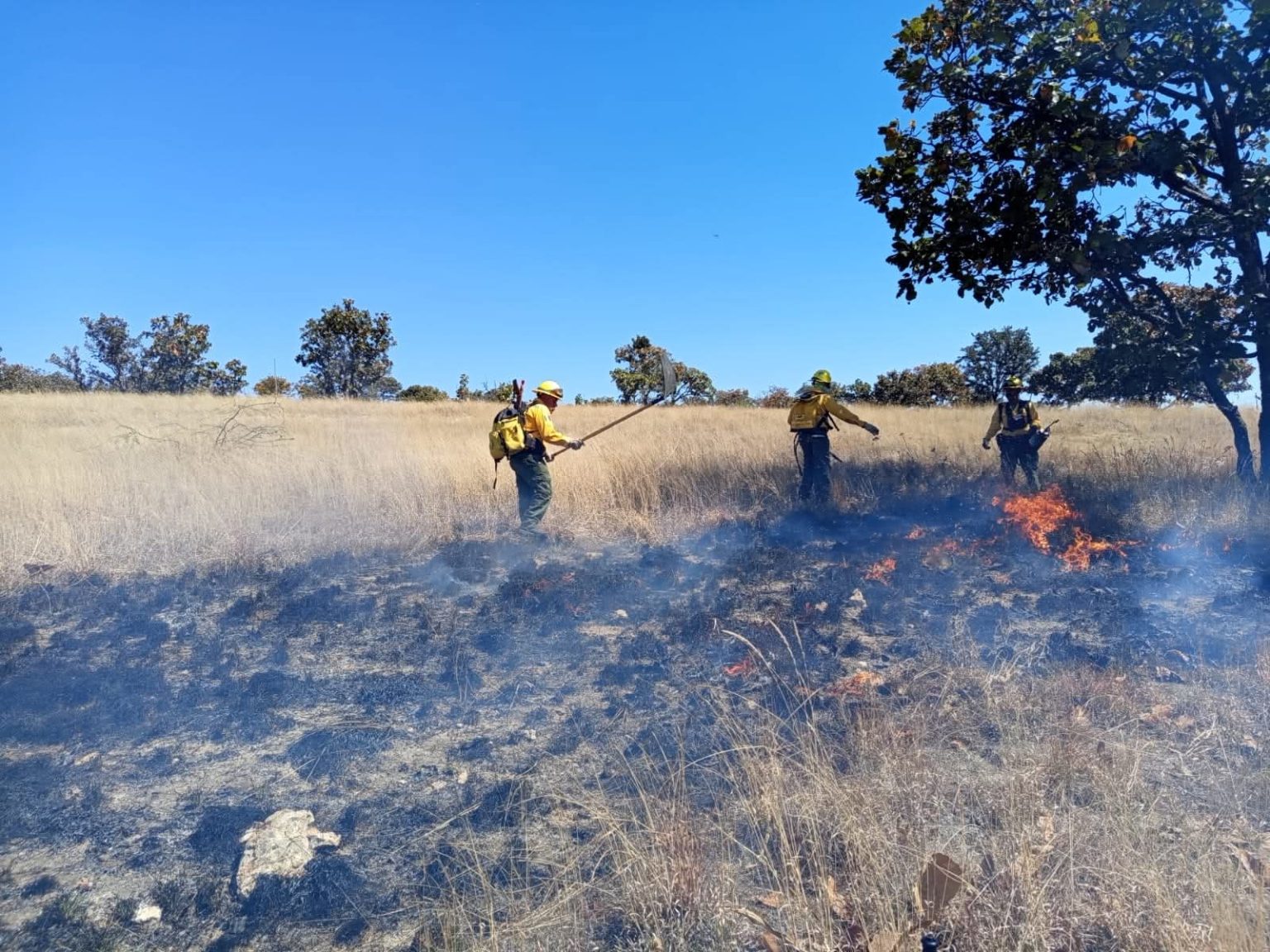 Estado mantiene monitoreo ante incendios forestales – Frontal Noticias